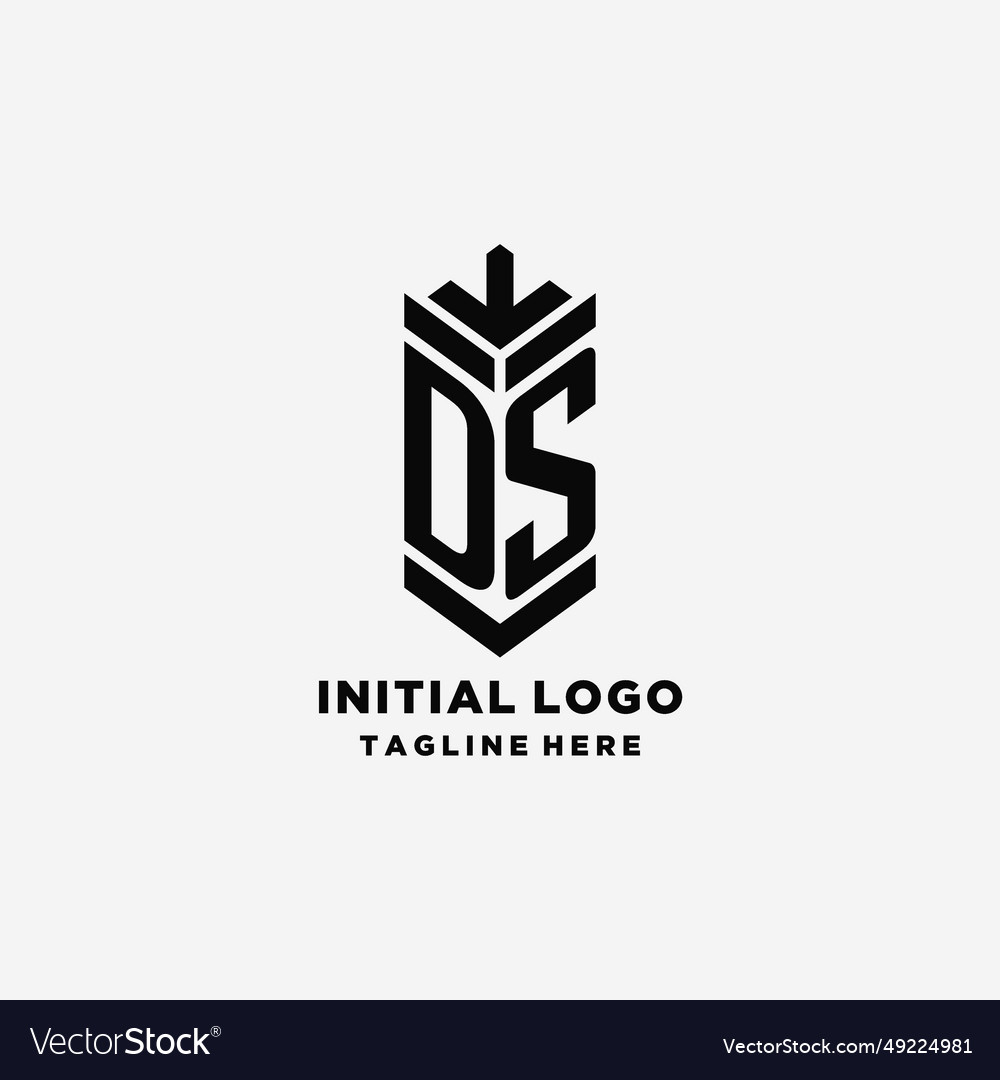 Initials ds shield logo design creative monogram Vector Image