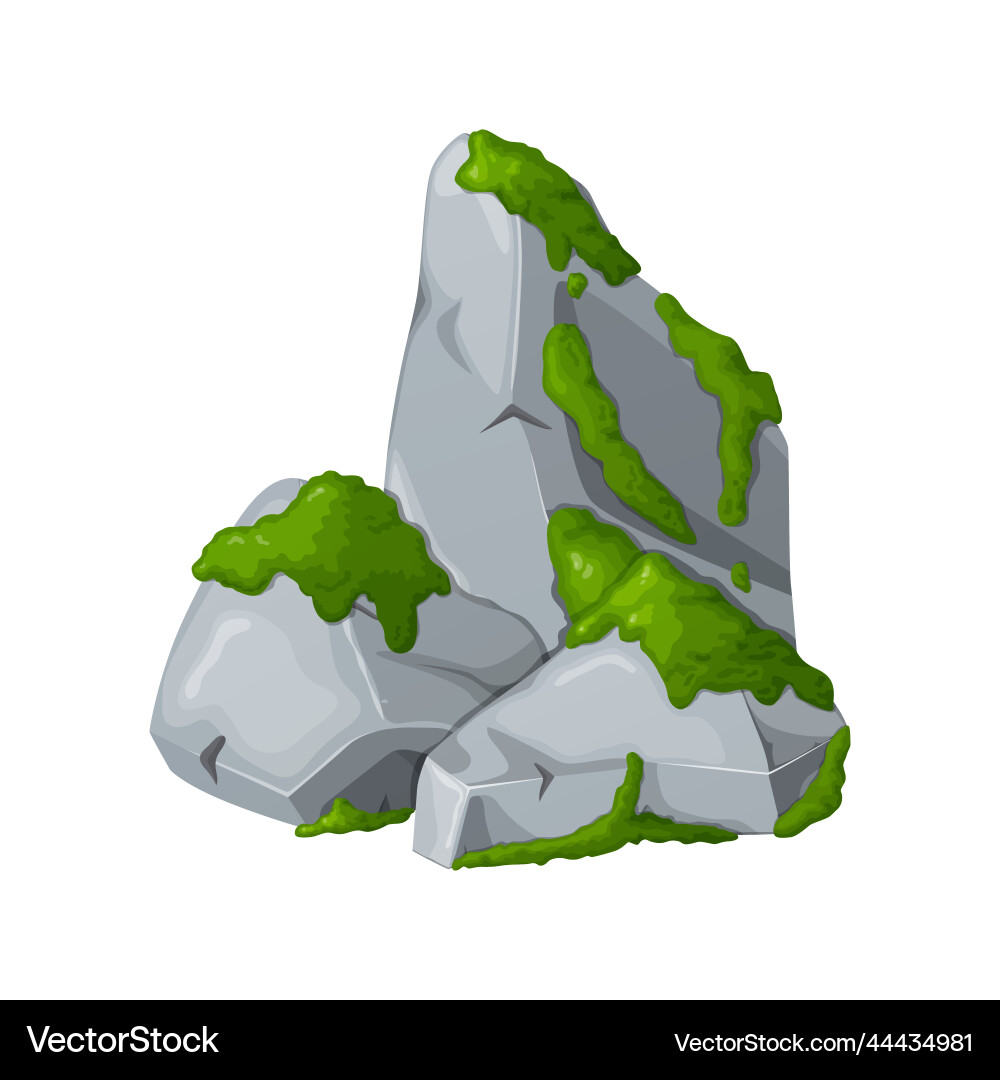 Moss on stones rocks and green lichen Royalty Free Vector