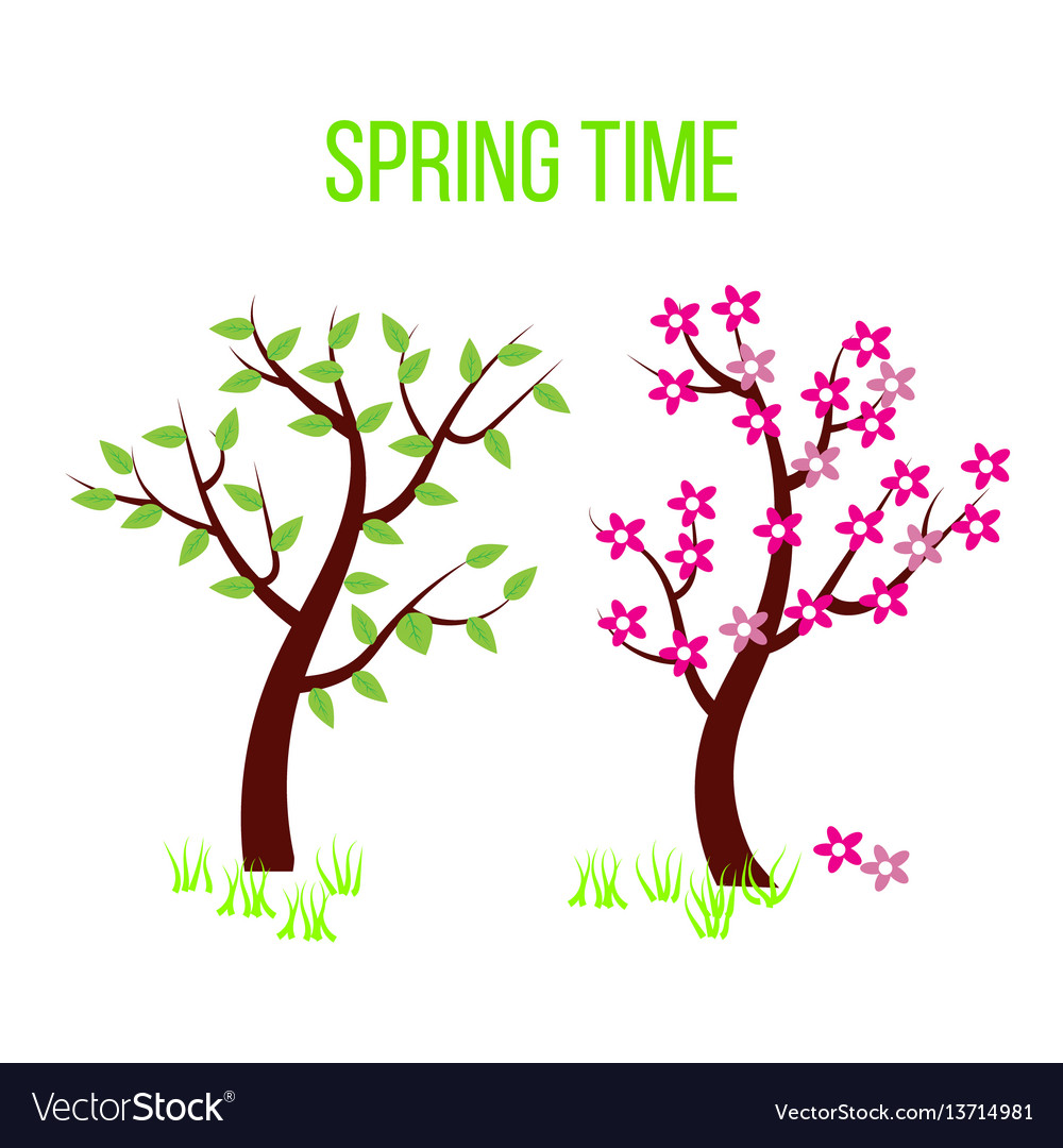 Spring Time Tree Composition With Flowers And Vector Image