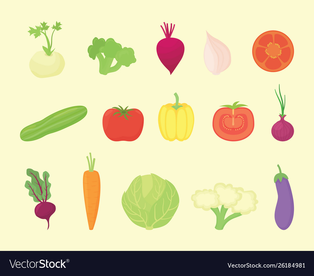 Vegetable set collection with various kind Vector Image