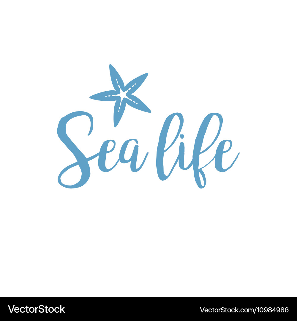 Starfish sea life lettering design Royalty Free Vector Image