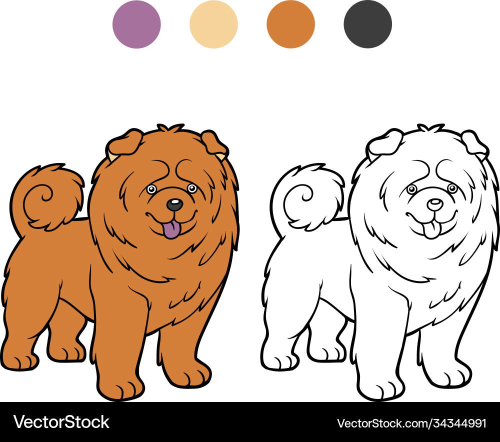 Coloring book dog breeds chow Royalty Free Vector Image