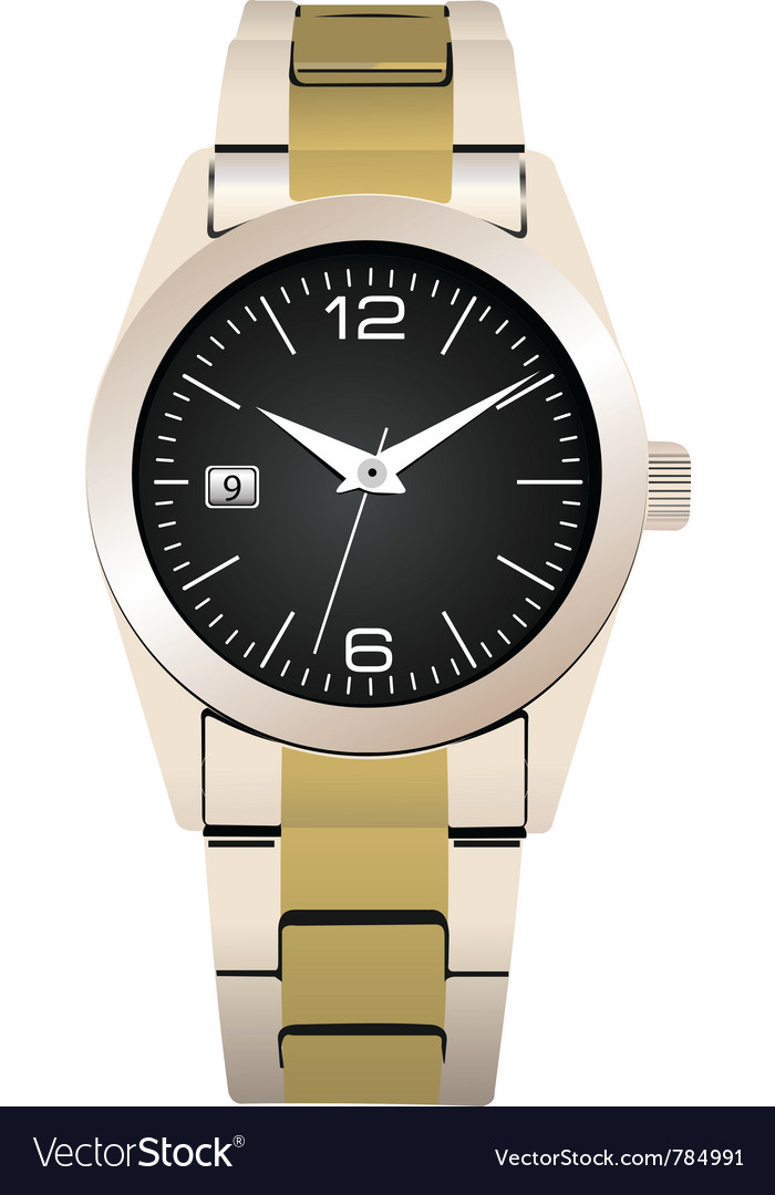 Expensive watch Royalty Free Vector Image - VectorStock