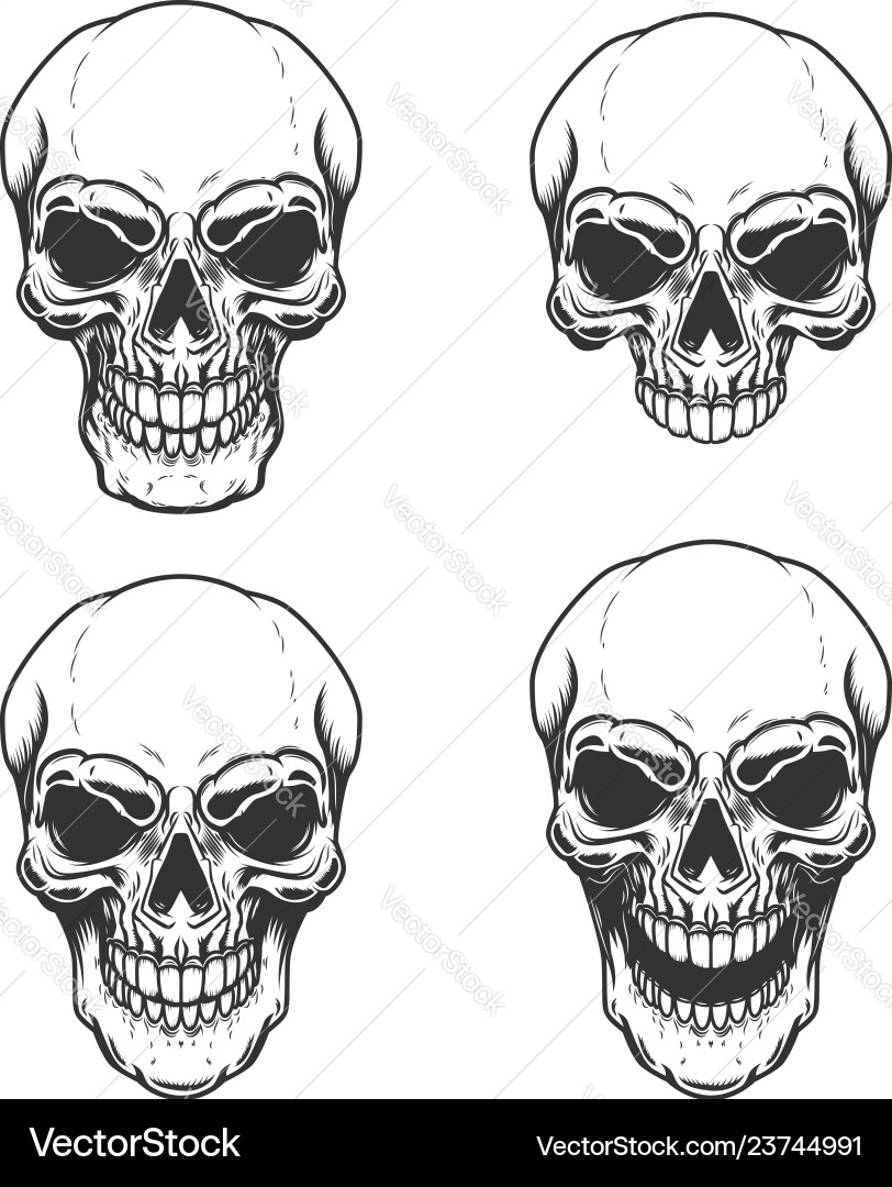 Set of vintage skull design element for logo Vector Image