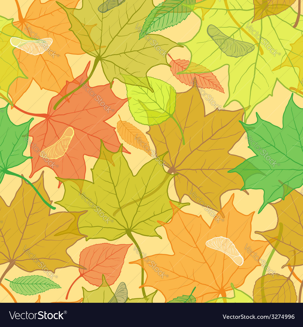 Autumn fallen leaves pattern Royalty Free Vector Image