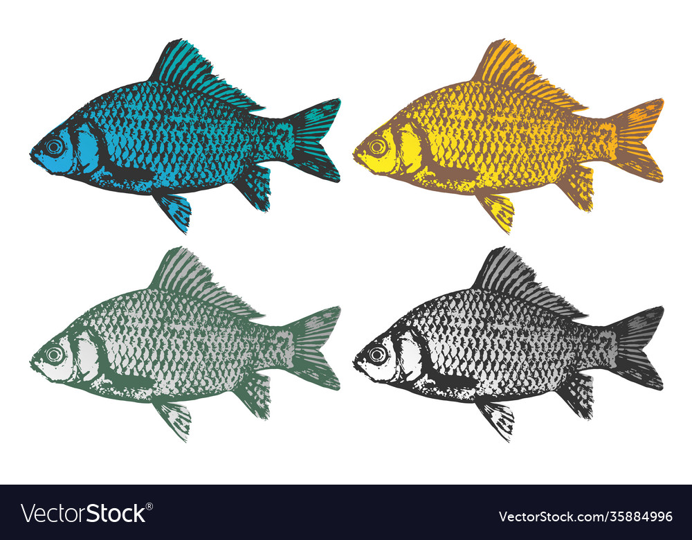 Fish Royalty Free Vector Image - VectorStock