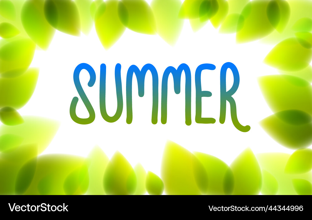 Summer word drawn on a window fresh green leaves Vector Image
