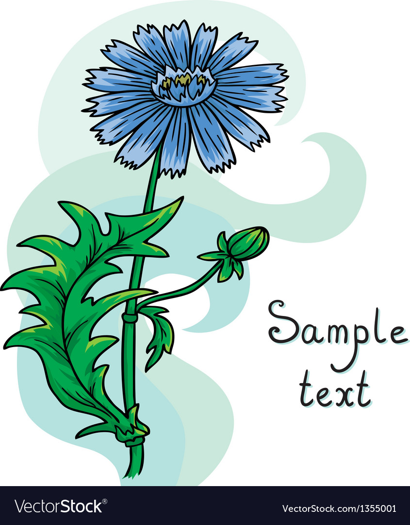 Cornflower background Royalty Free Vector Image