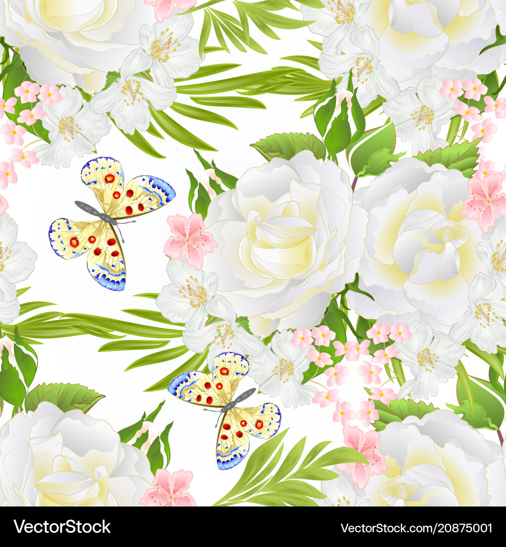 Seamless texture white roses and buds and Vector Image