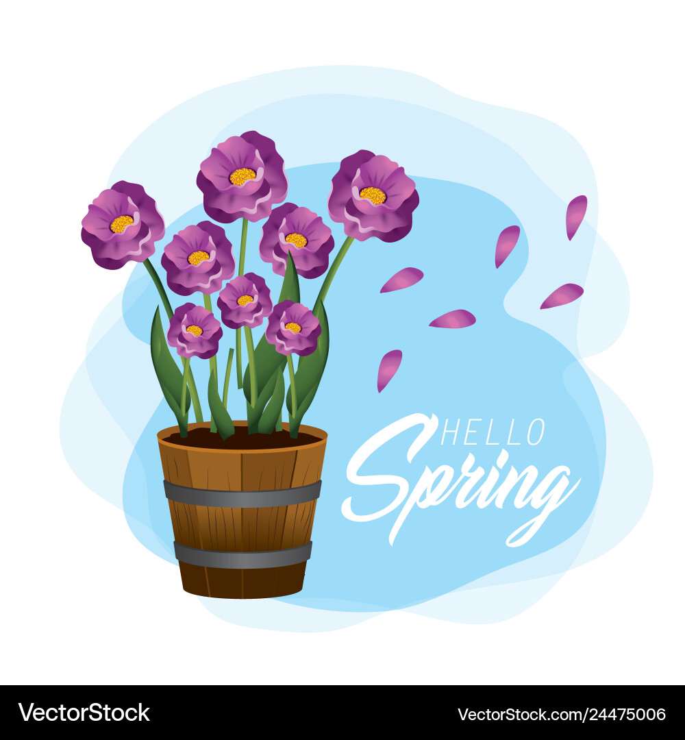 Spring flowers plants with nature petals Vector Image