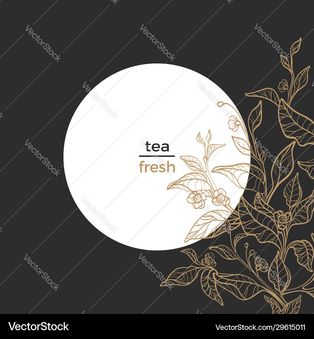 Design nature bouquet tea 2 Royalty Free Vector Image