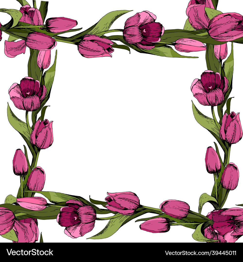 Frame with colored pink tulips poster spring Vector Image
