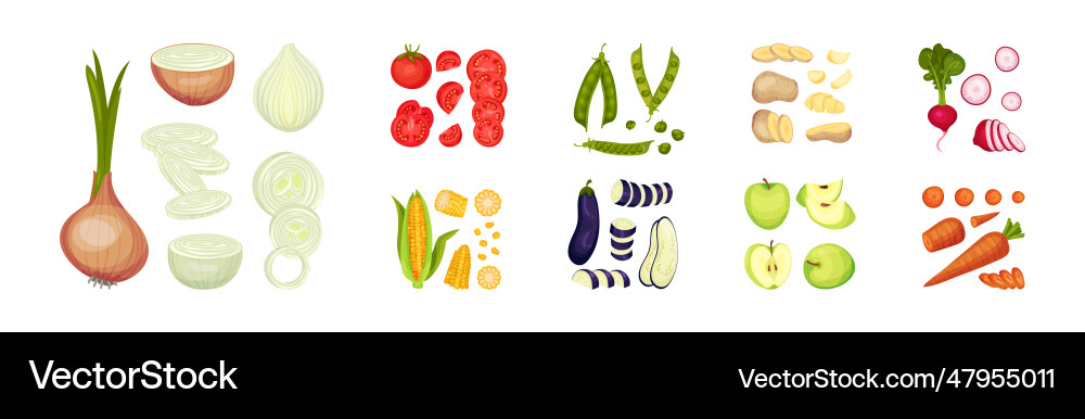 Raw vegetable sliced or chopped as cooking Vector Image