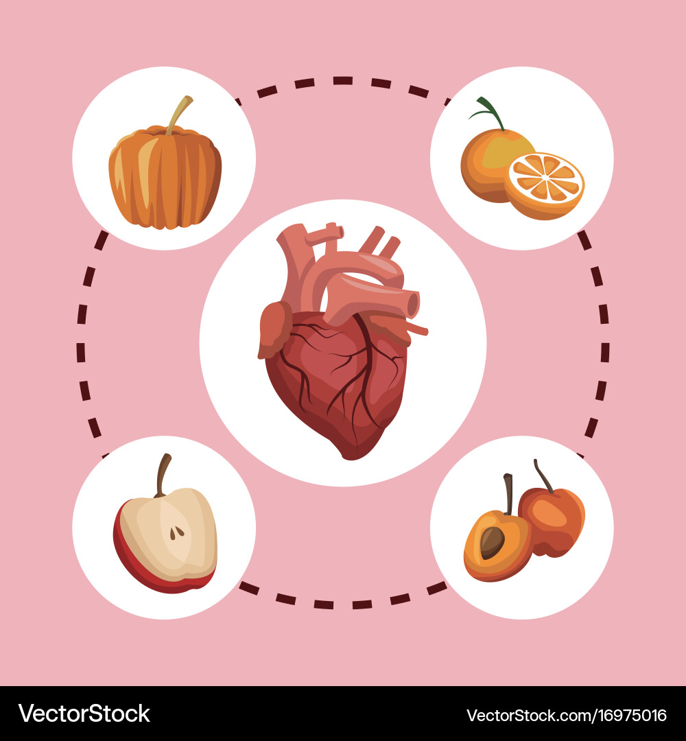 Color background circular frame with heart organ Vector Image