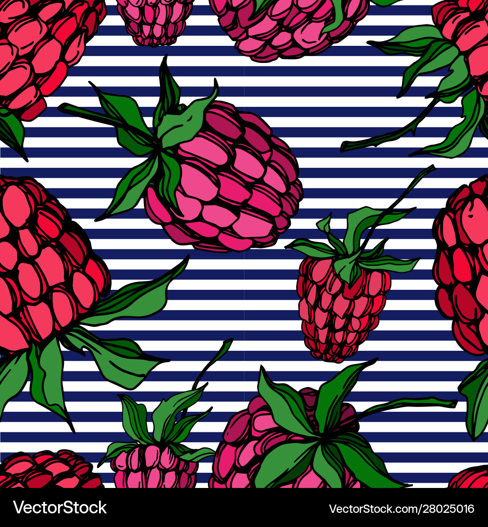 Raspberry healthy food isolated black Royalty Free Vector