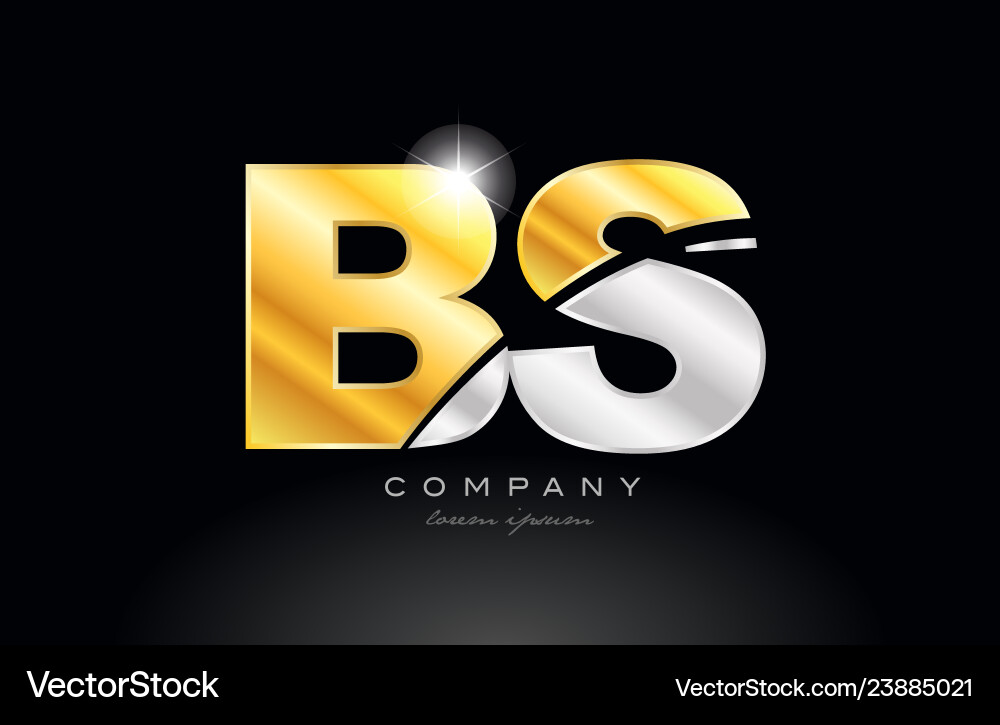 Combination letter bs b s alphabet with gold Vector Image