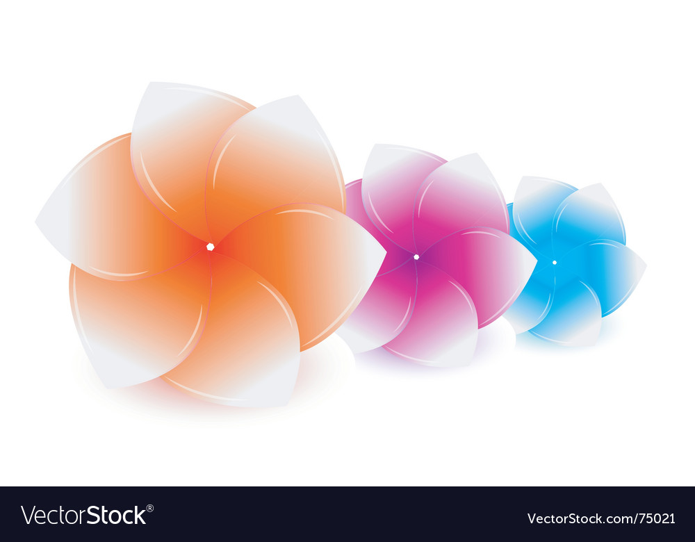 Flower Royalty Free Vector Image - VectorStock