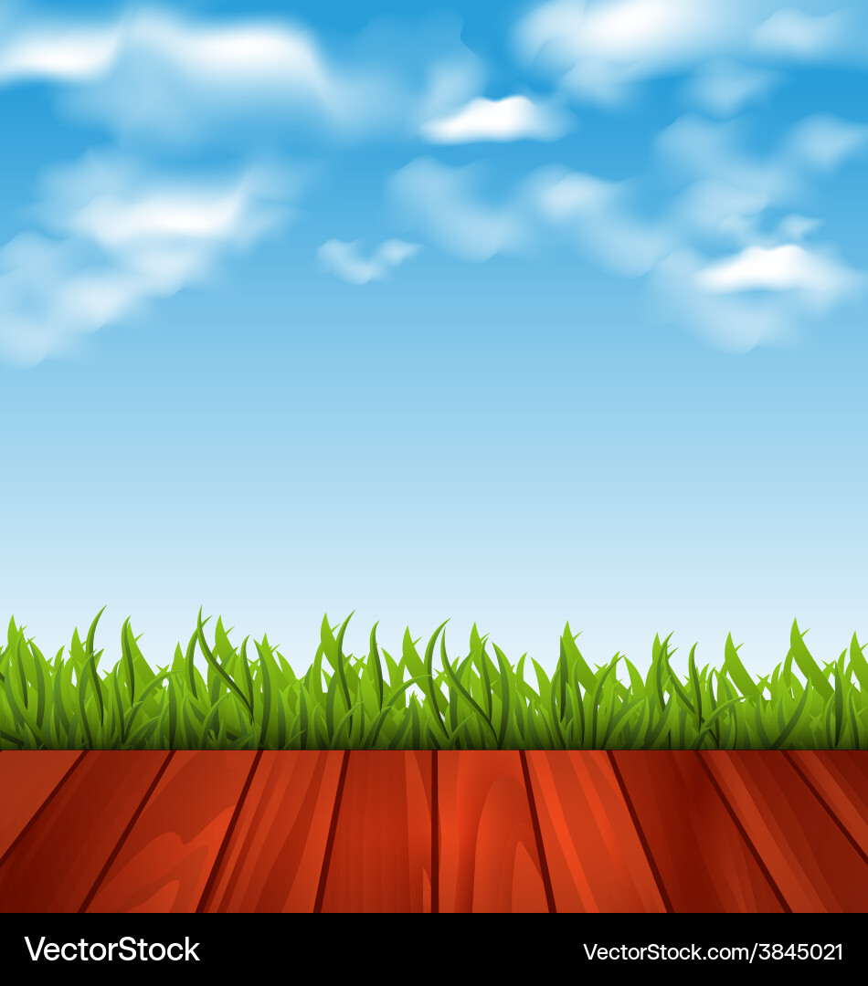 Freshness spring green grass and wood floor Vector Image