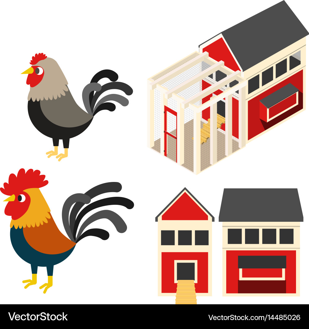 Chicken coop set Royalty Free Vector Image - VectorStock