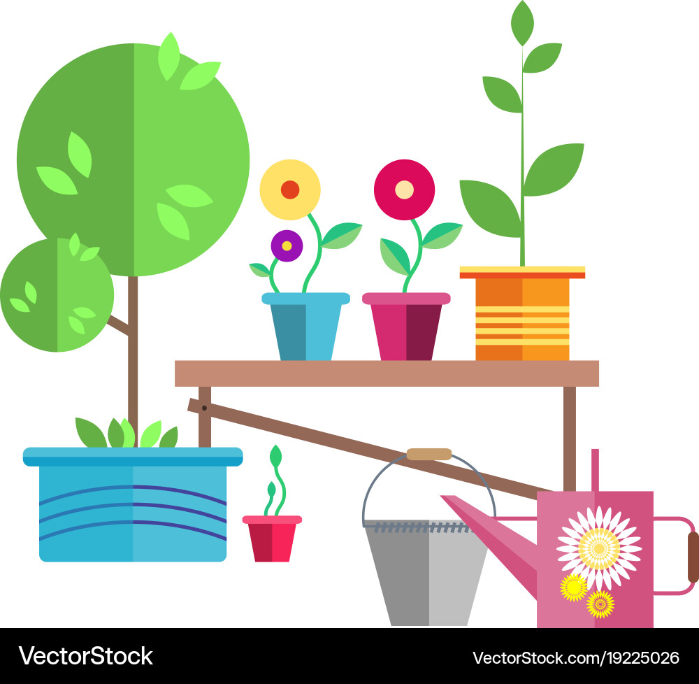 Garden a young tree in blue pot Royalty Free Vector Image