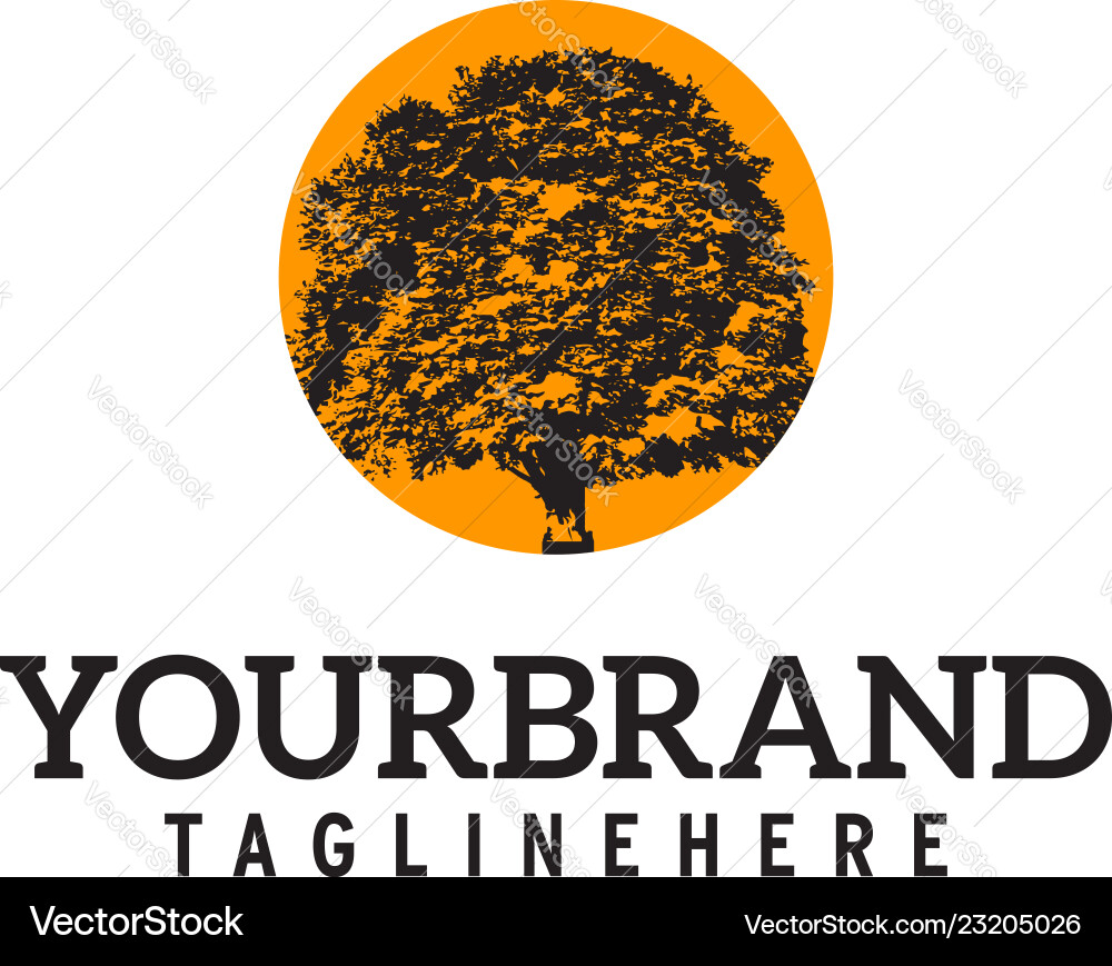 Oak tree with orange sun in behind logo design Vector Image