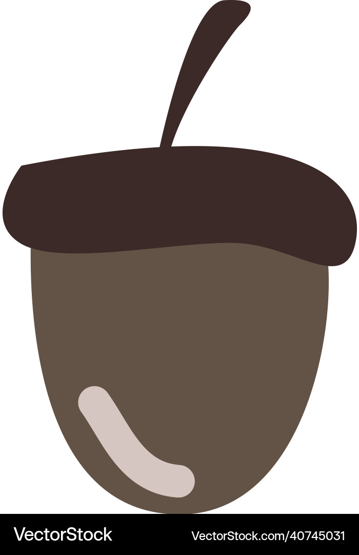 Acorn seed nature Royalty Free Vector Image - VectorStock