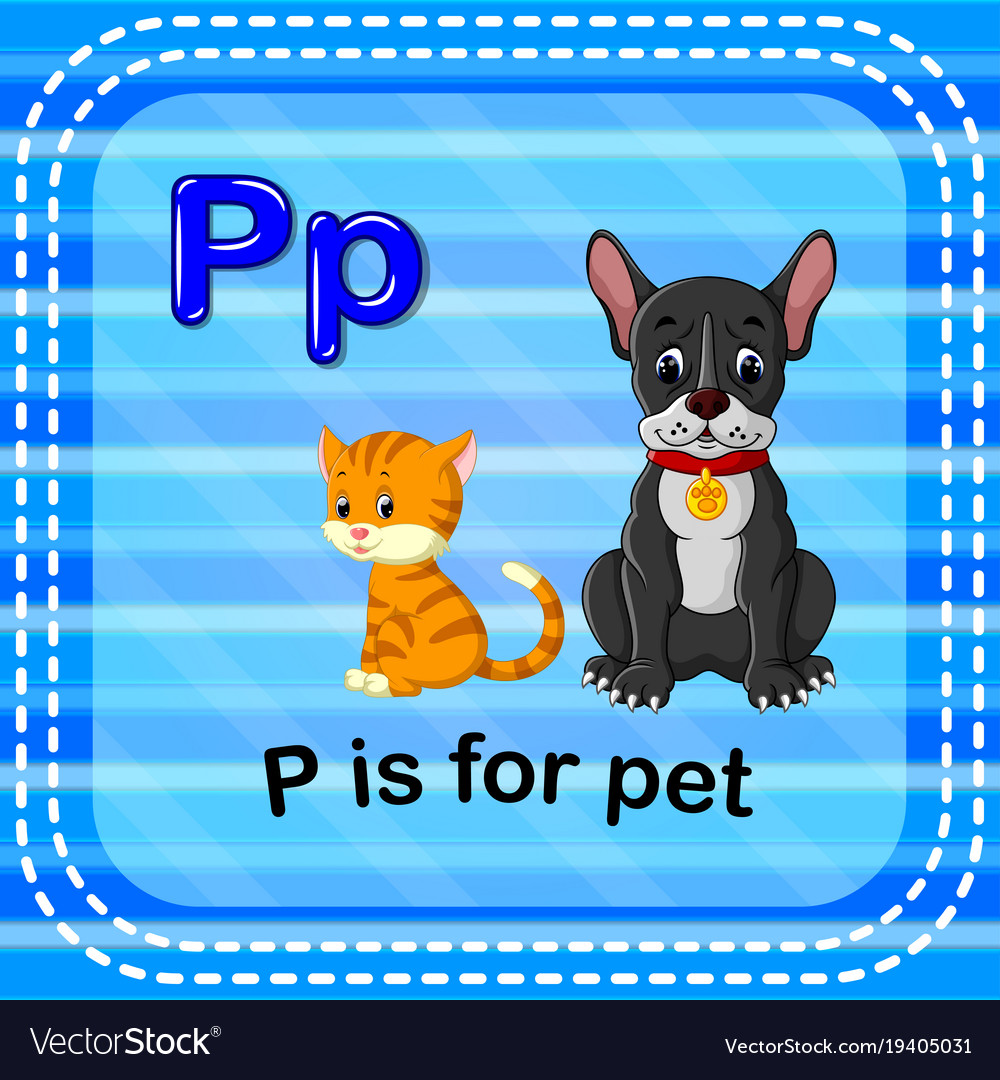Flashcard letter p is for pet Royalty Free Vector Image