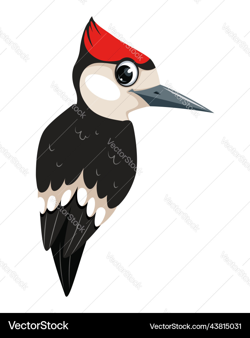 Forest bird woodpecker cartoon Royalty Free Vector Image