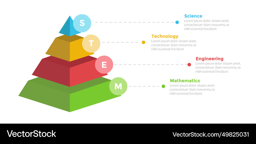 Stem education infographics template diagram with Vector Image