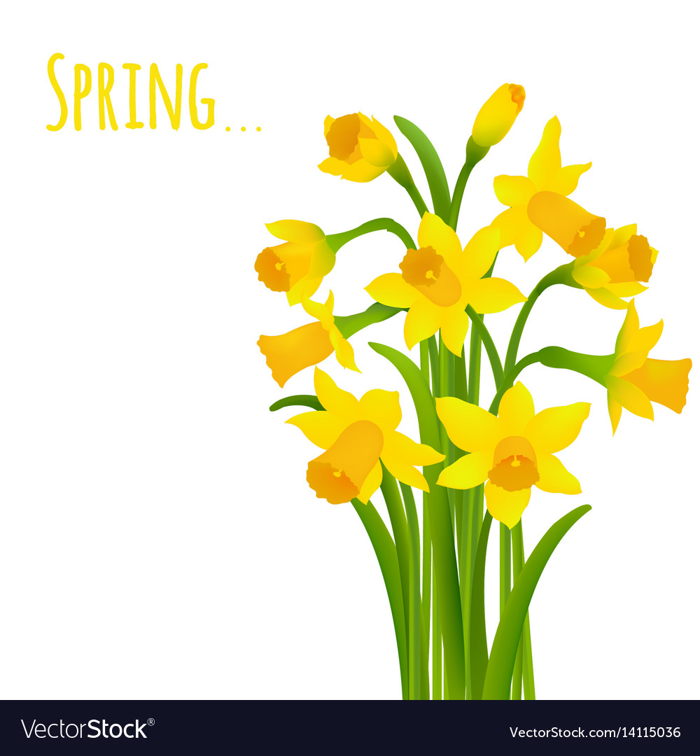 Spring postcard Royalty Free Vector Image - VectorStock