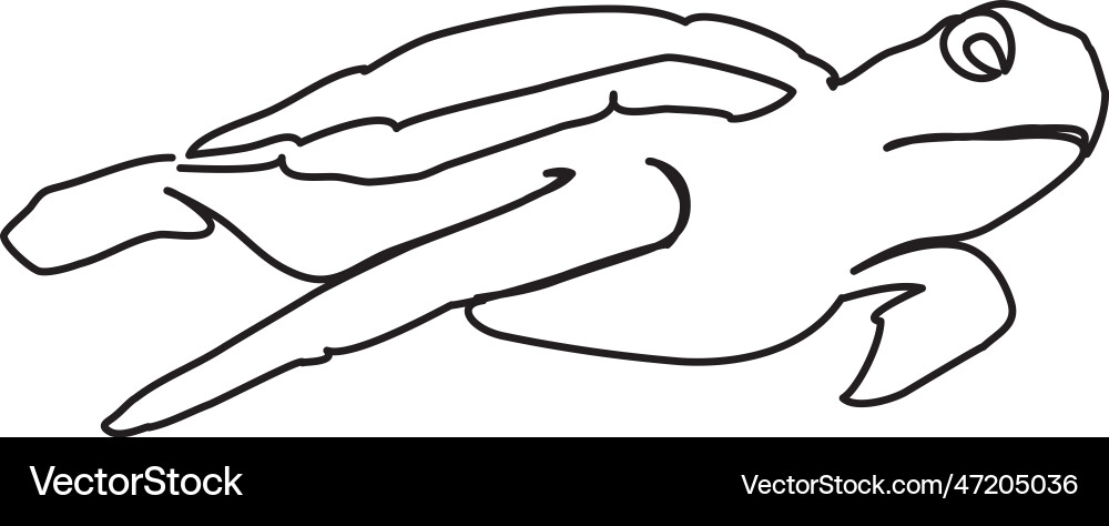 Turtle of design on a white background Royalty Free Vector