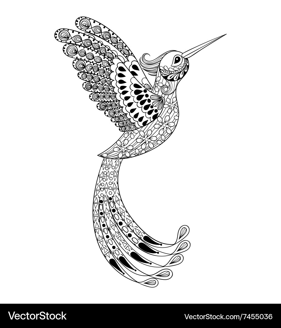 Zentangle hand drawn artistically Hummingbird Vector Image