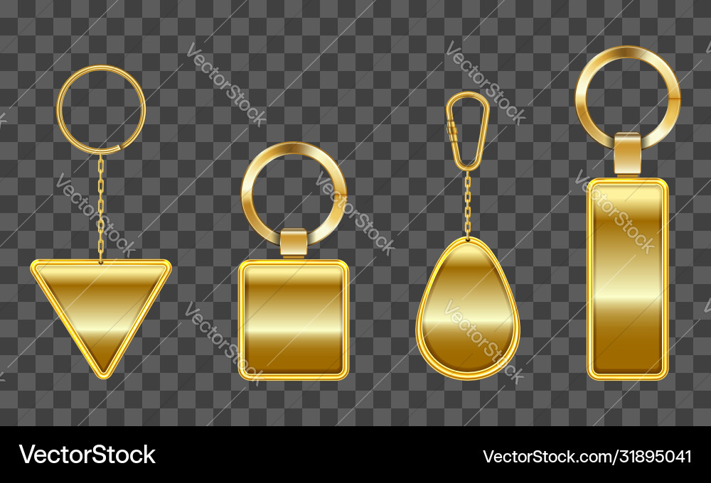 Golden keychain holder for key with chain Vector Image
