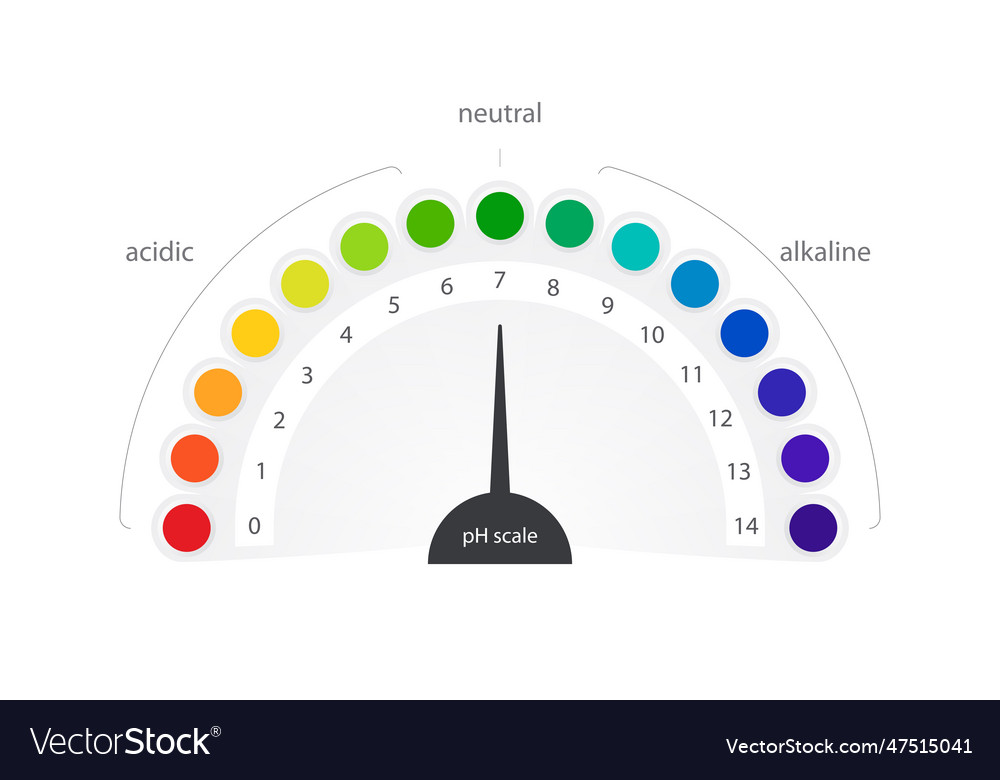 Ph scale indicator chart diagram acidic Royalty Free Vector