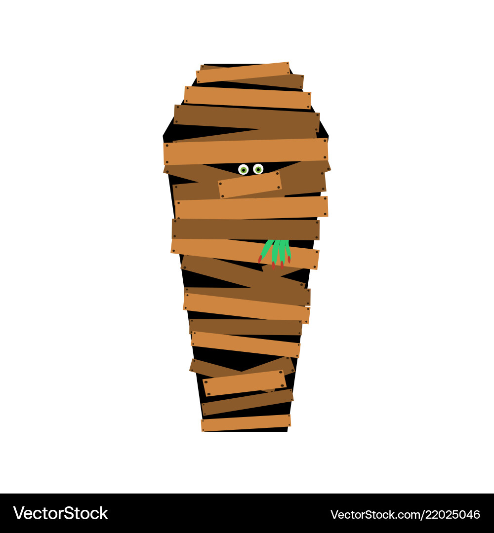 Coffin halloween Royalty Free Vector Image - VectorStock