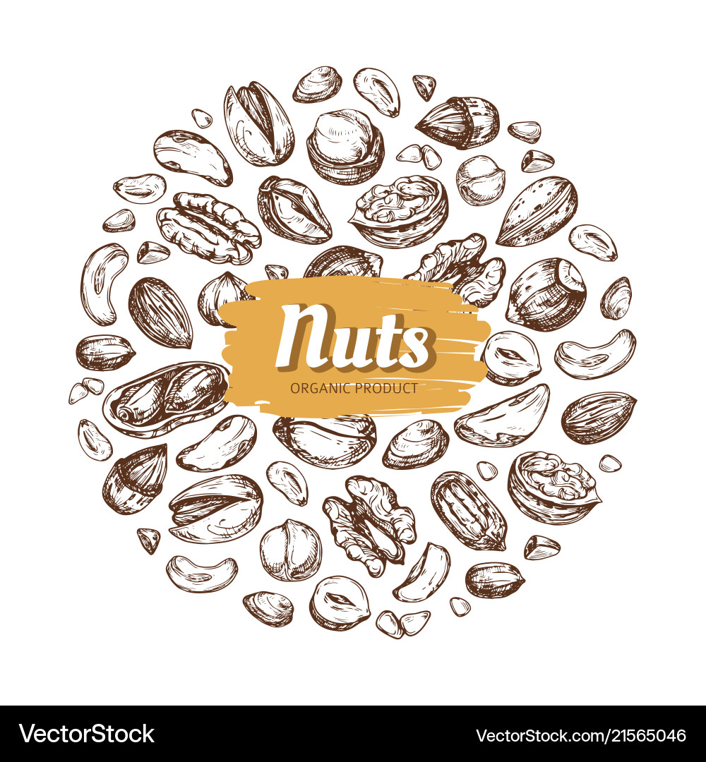 Eating nut label hand drawn nuts and seeds Vector Image