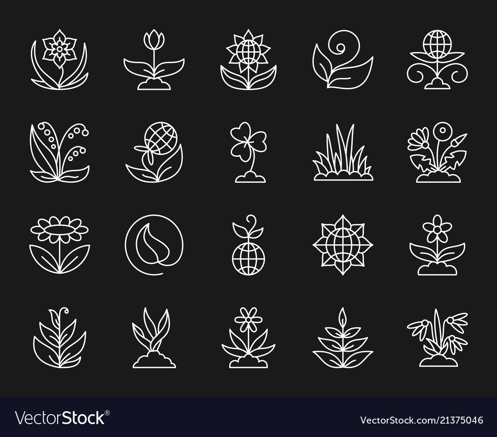 Garden simple white line icons set Royalty Free Vector Image Garden simple white line icons set Royalty Free Vector Image