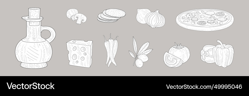 Hand drawn ingredients for pizza sketch set Vector Image