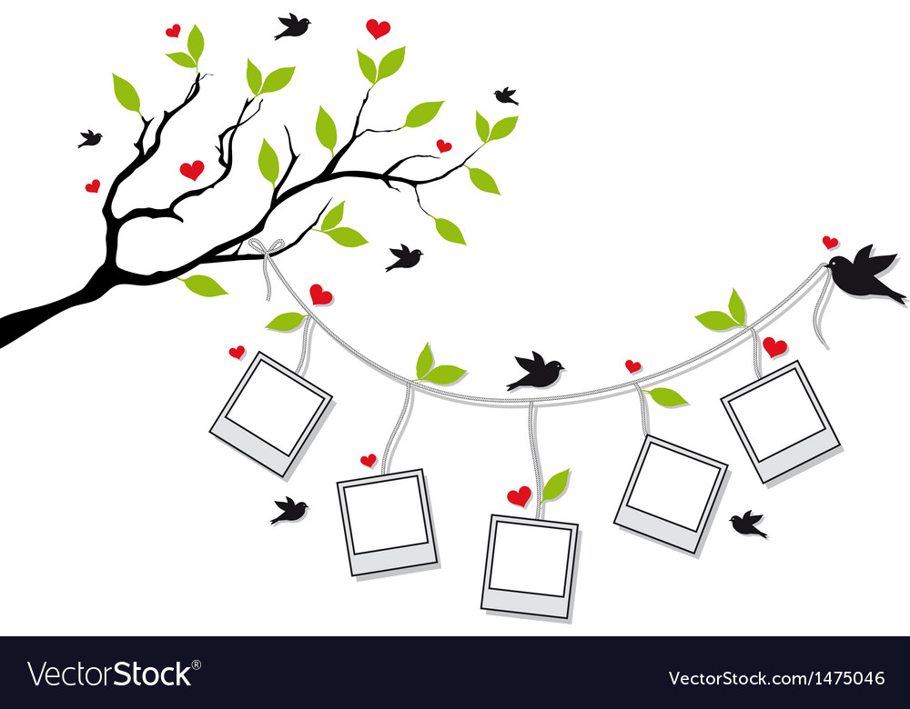 Tree with photo frames and birds Royalty Free Vector Image
