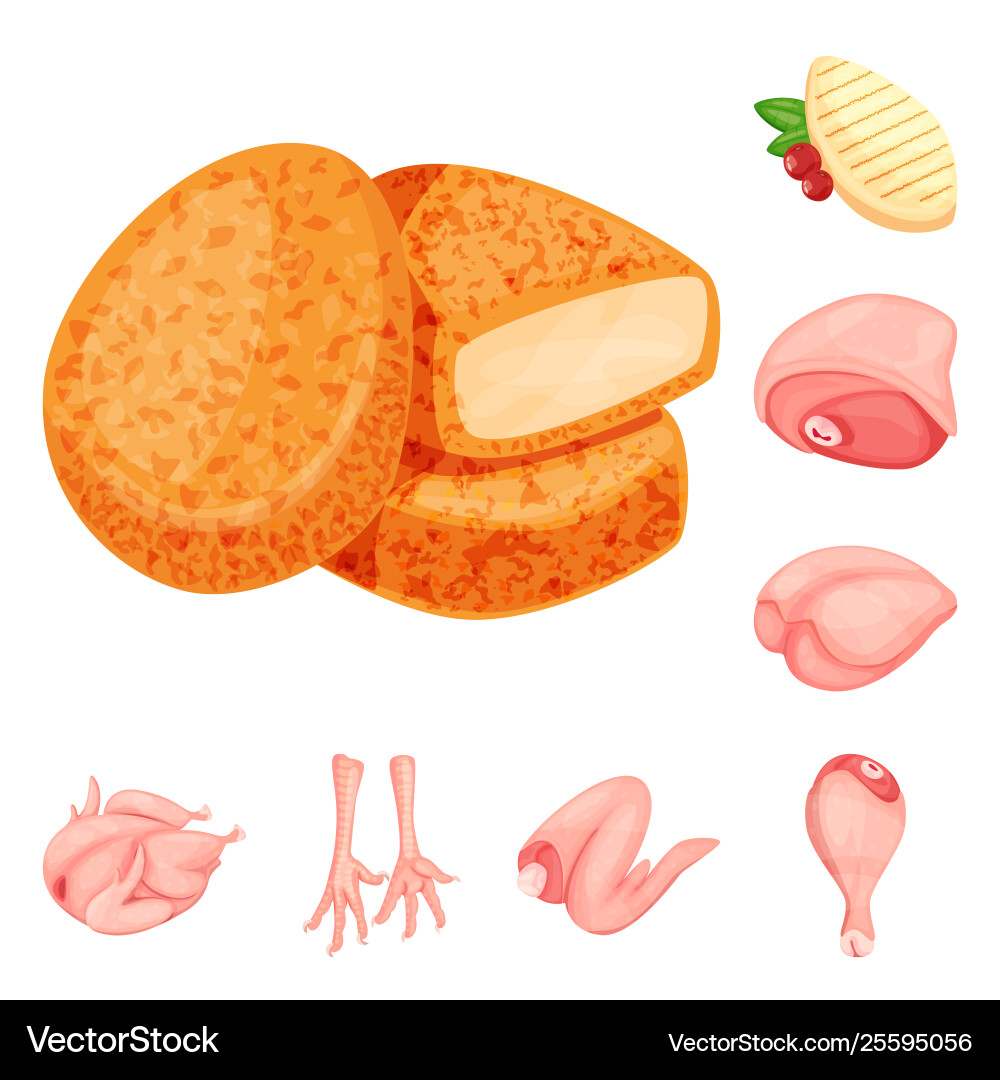 Design meat and raw symbol set Royalty Free Vector Image