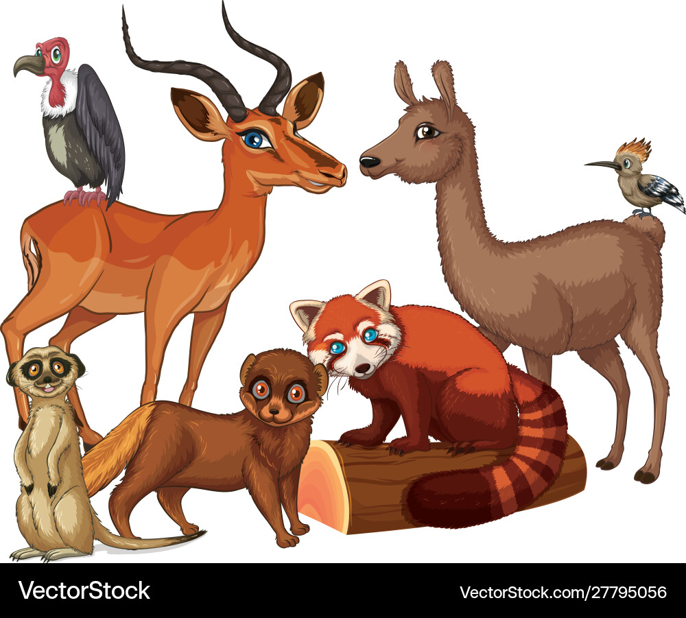 Isolated picture many animals Royalty Free Vector Image