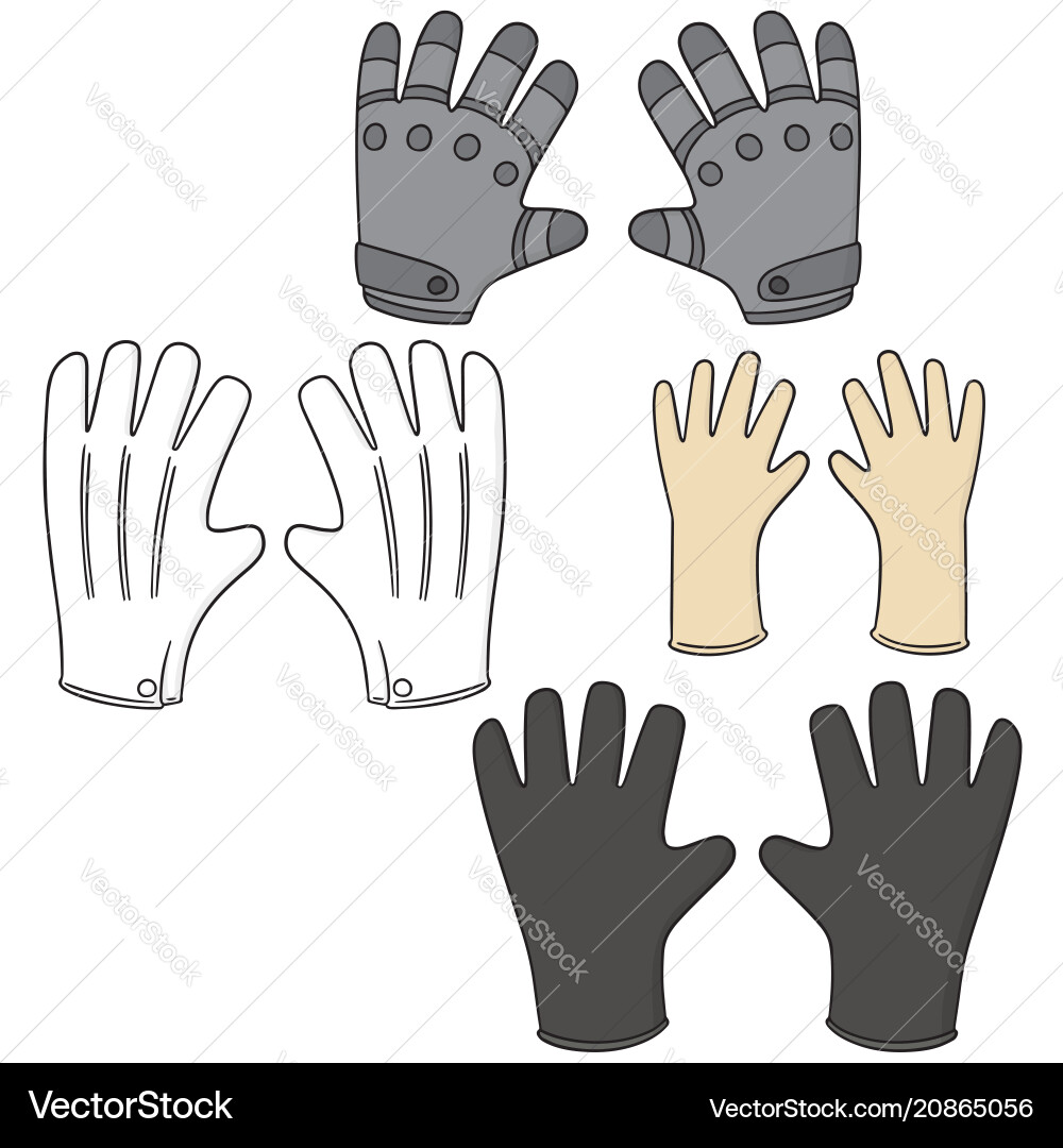 Set of gloves Royalty Free Vector Image - VectorStock