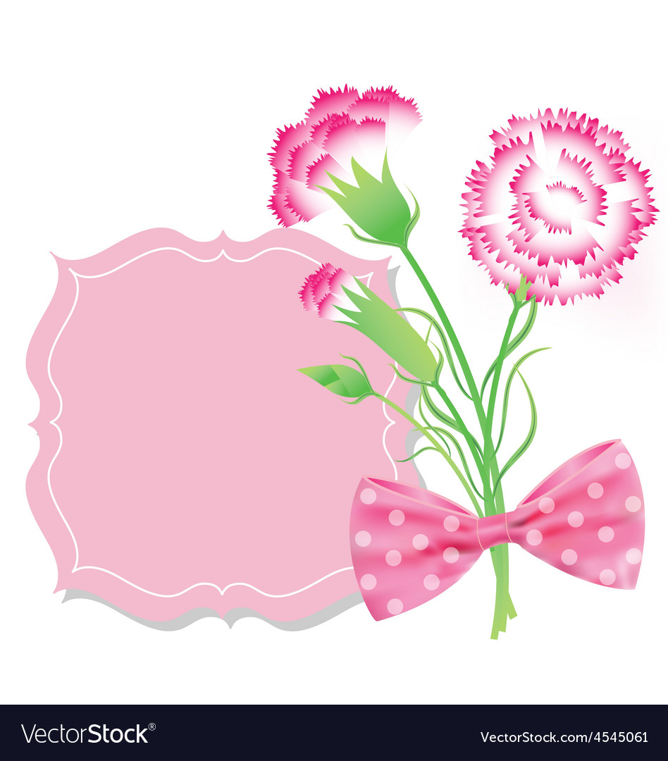 Carnation With Pink Card For Mothers Day Vector Image