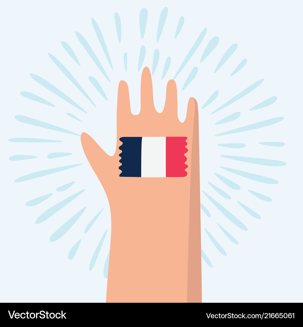 France hand giving ok Royalty Free Vector Image
