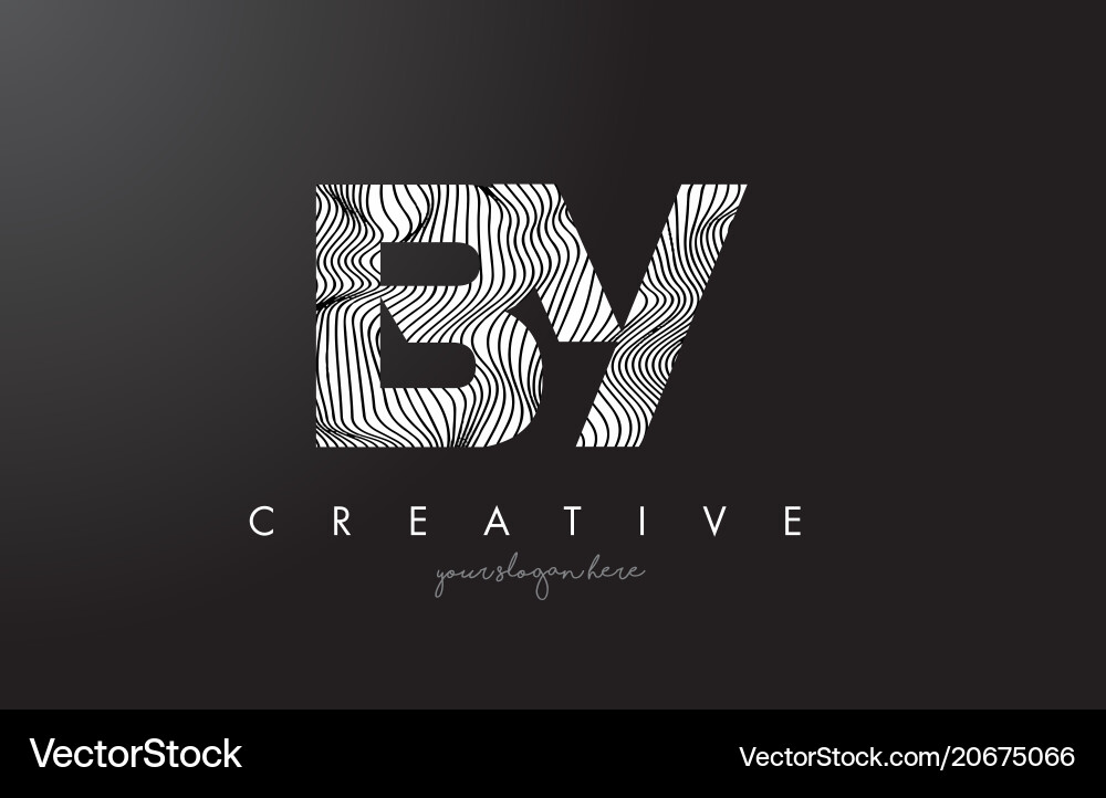 B y letter logo with zebra lines texture Vector Image