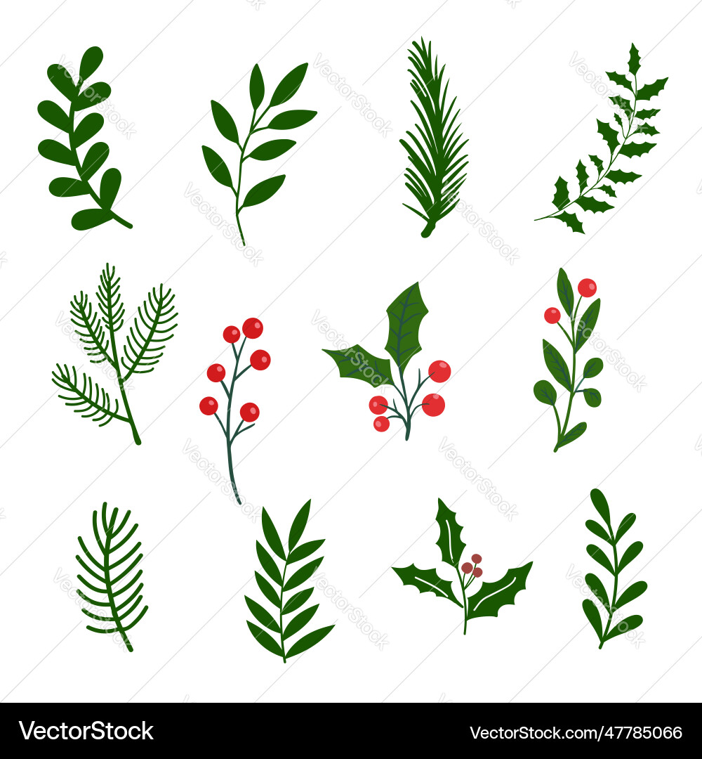 Green winter christmas leaf collection Royalty Free Vector