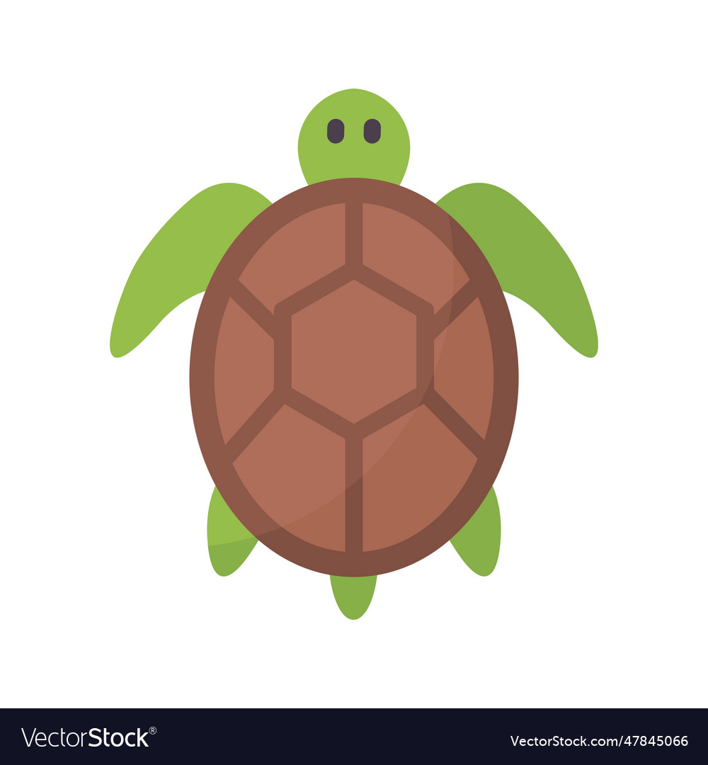 Sea turtle icon image Royalty Free Vector Image