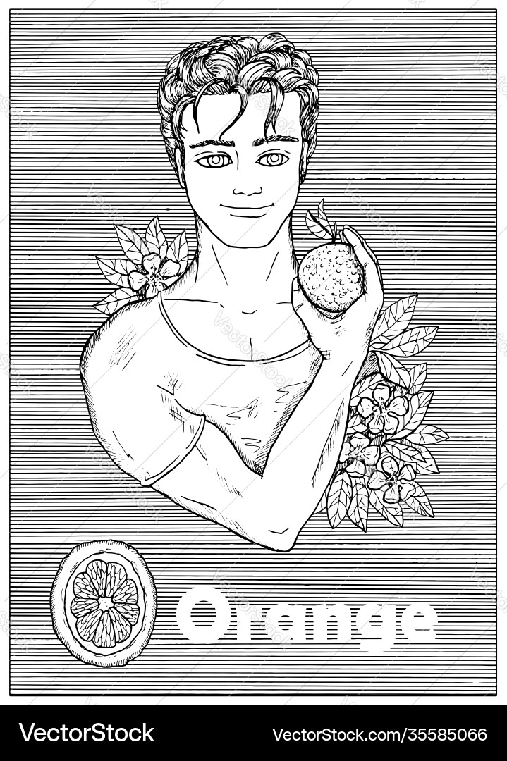 Young handsome man holding orange fruit Royalty Free Vector