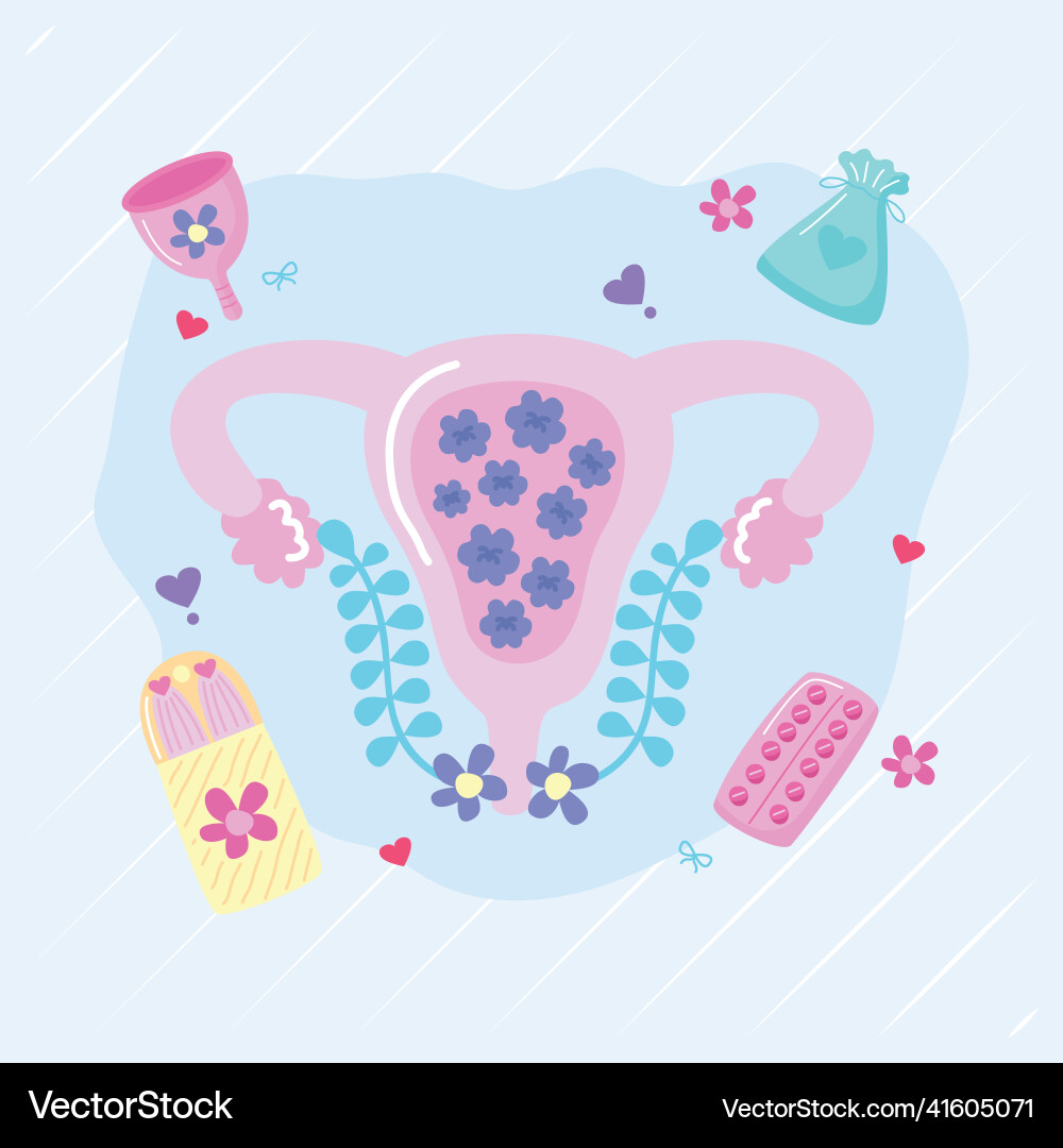 Female uterus with accessories Royalty Free Vector Image