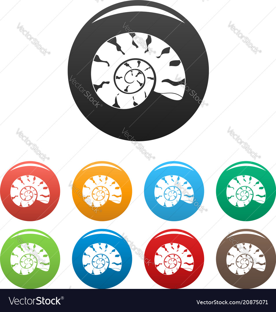 Round shell icons set color Royalty Free Vector Image